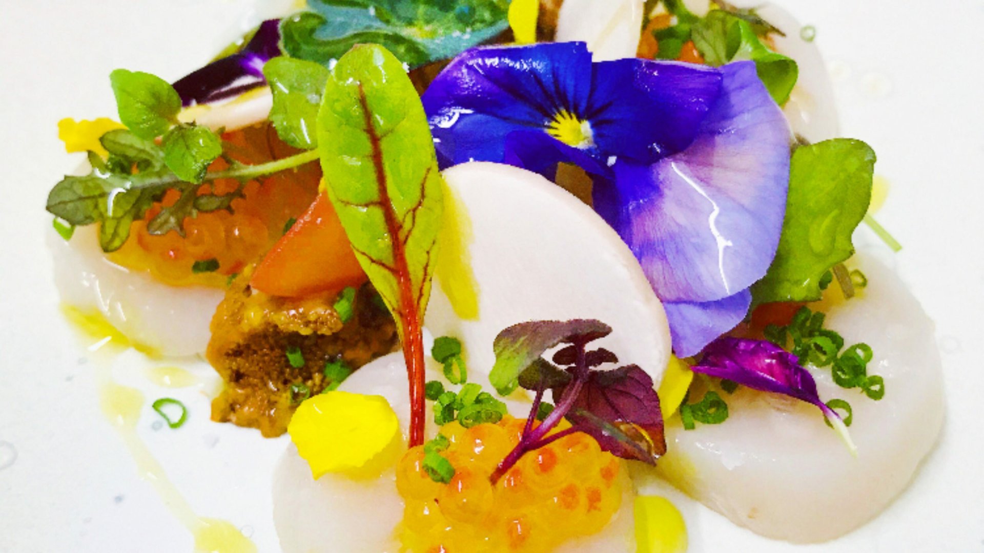 Coffret Cadeau en Auvergne-Rhône-Alpes | RESTAURANT LA CACHETTE à Valence